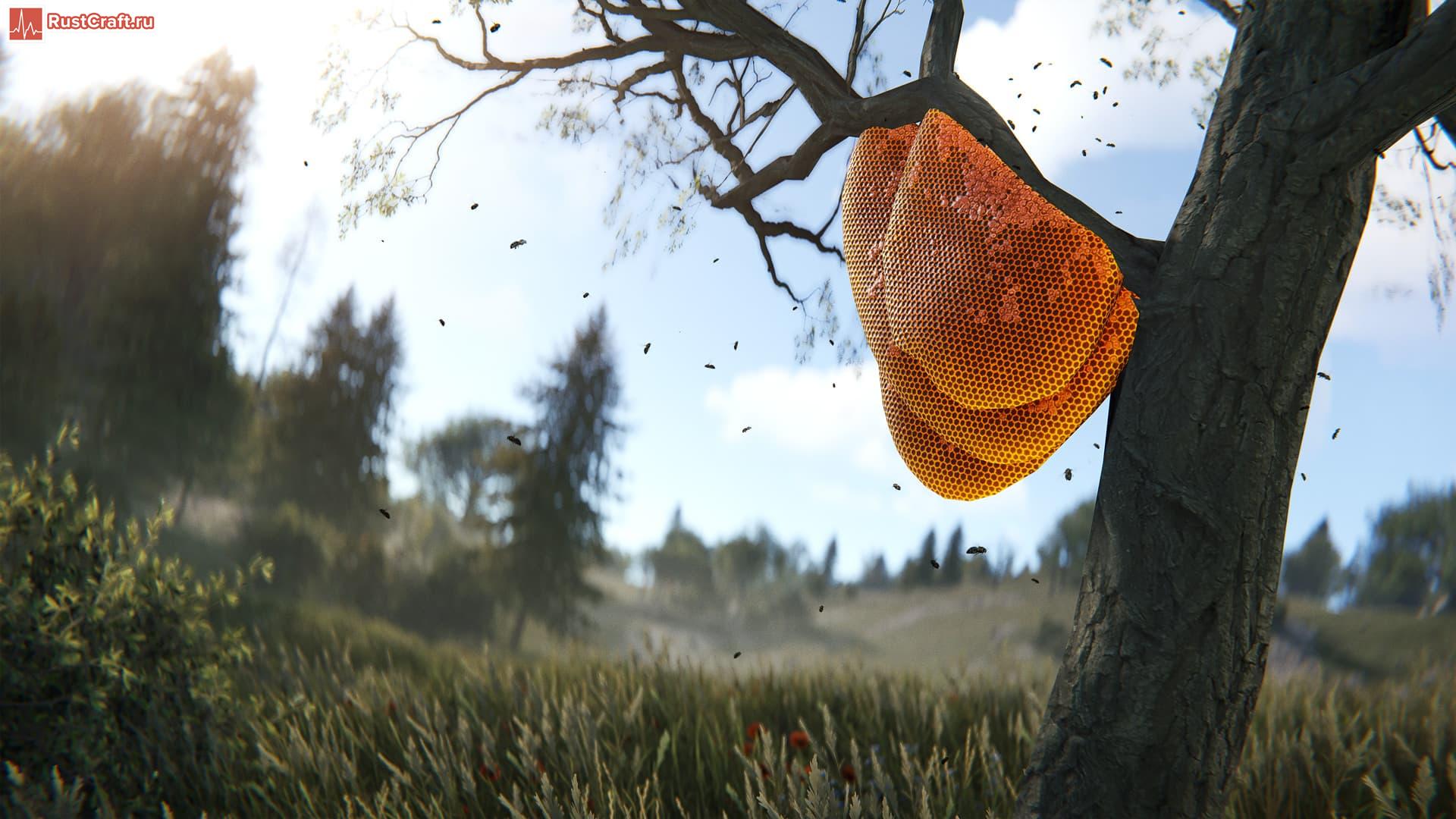 Улей в Rust — Rust Craft